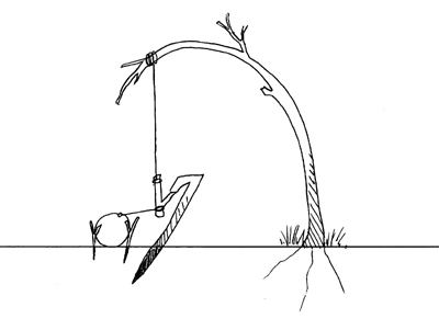 Emergency Snare Survival Snares - Dozen Rabbit/, 36" 1/16 Cable, Made ...